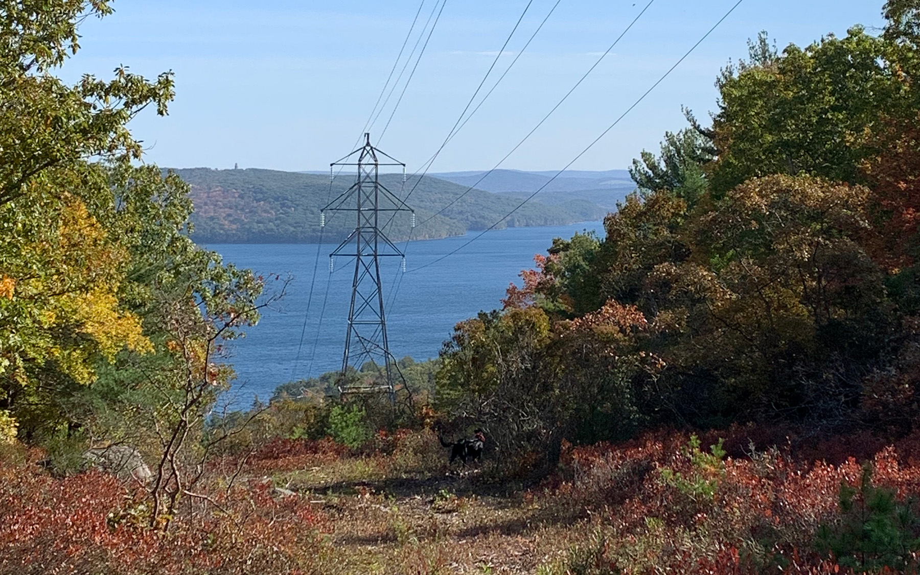 National Grid Environmental Stewardship | ACRT Services BIOaudit ...